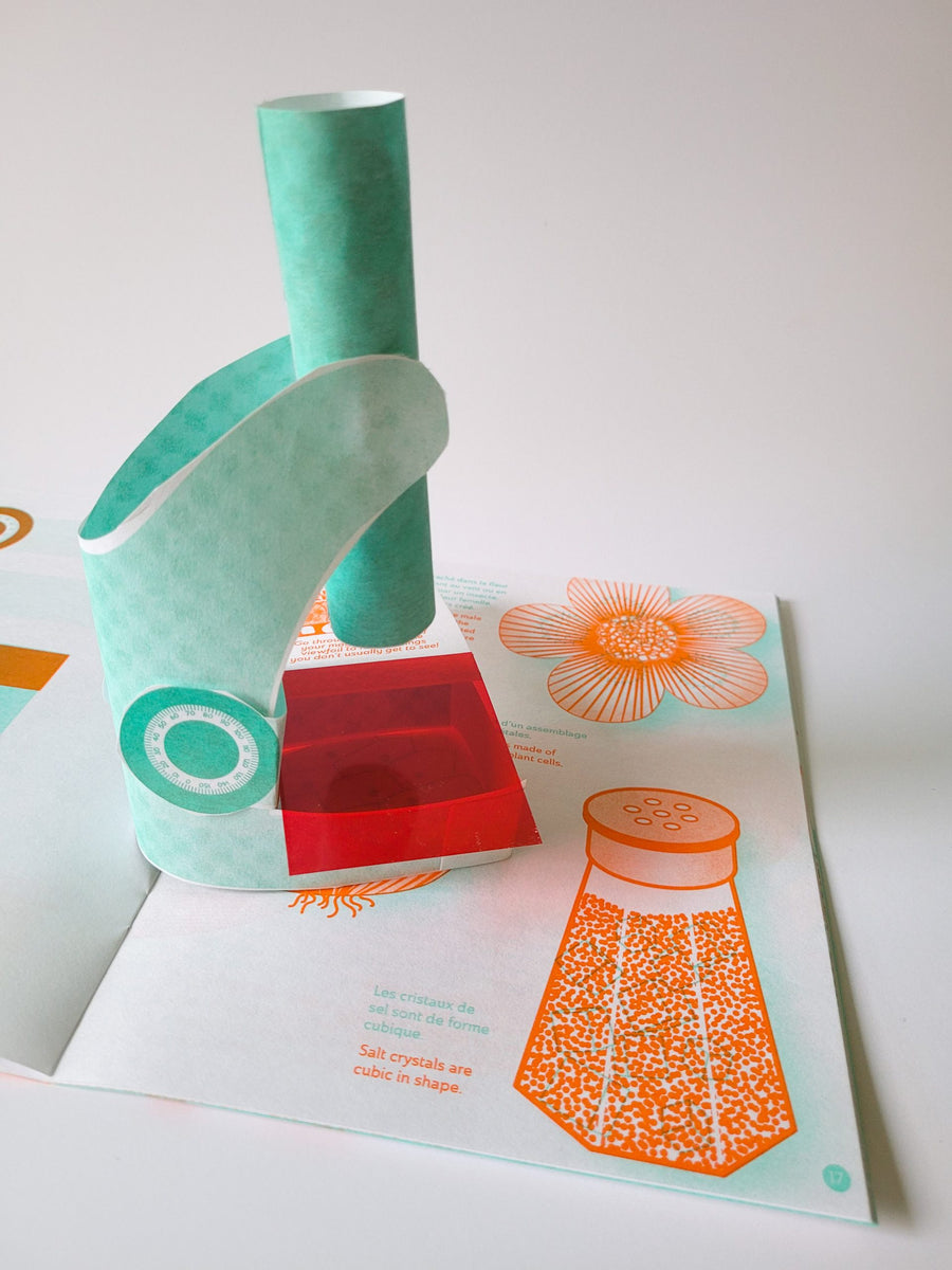 Grilled Cheese : Invisible – La fée raille